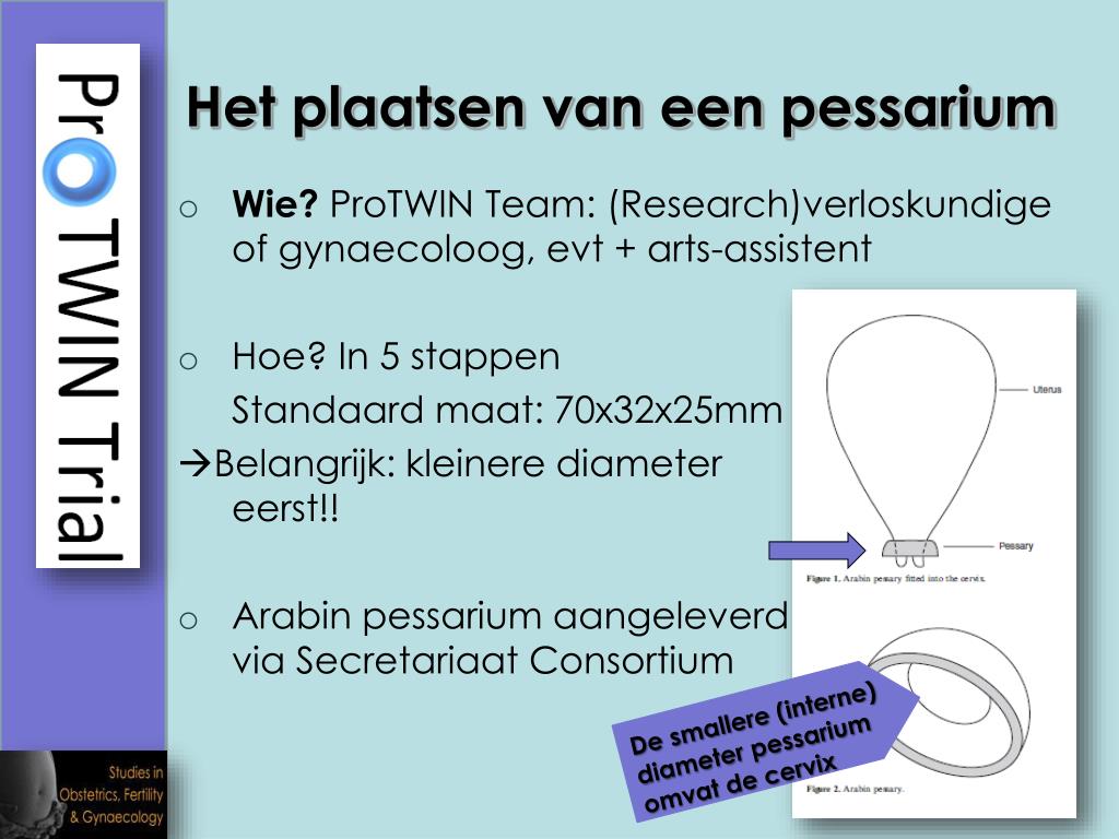 PPT - www.studies-obsgyn.nl / protwin PowerPoint Presentation, free ...