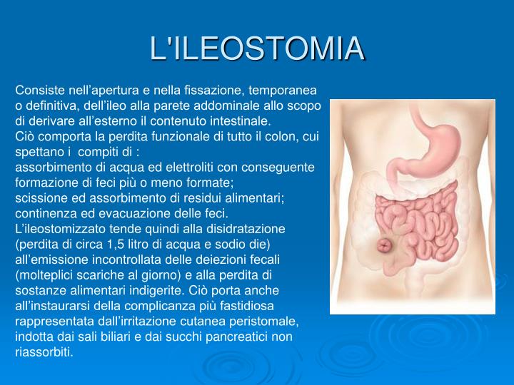 PPT - LA STOMIA PowerPoint Presentation - ID:905799