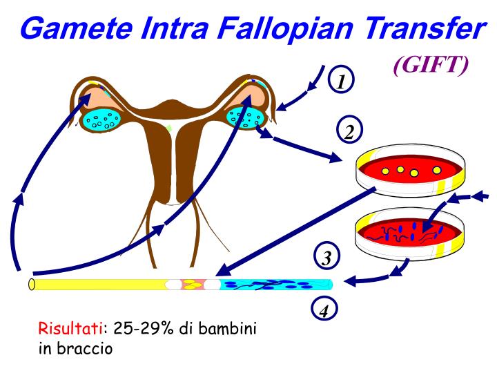 PPT - Parliamo di... TEST DI PATERNITA', GENOMICA E CONSULENZA GENETICA ...