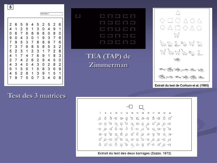 PPT - Clinique de la neuropsychologie Myriam NOEL Neuropsychologue au ...