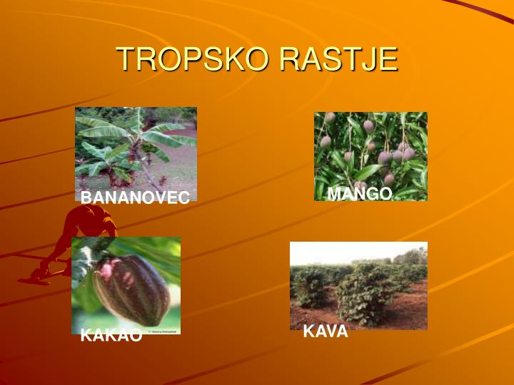PPT - RASTLINSKI PASOVI AFRIKE PowerPoint Presentation - ID:907983