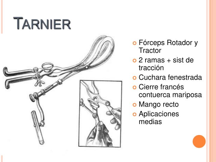PPT - Fórceps PowerPoint Presentation - ID:908126