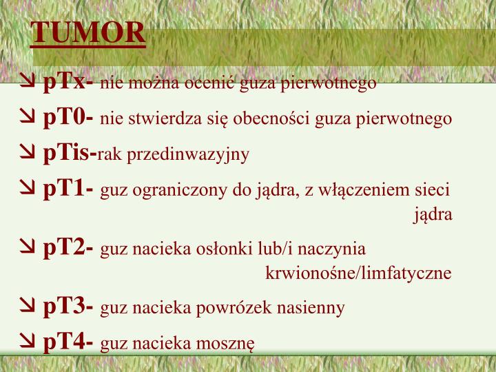 PPT - NOWOTWORY ZŁOŚLIWE JĄDRA Katedra i Klinika Onkologii UM w ...