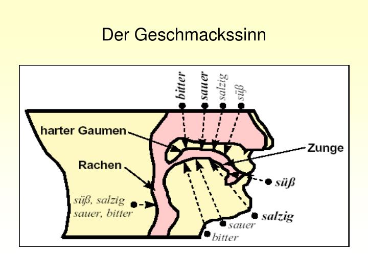 PPT - Gewürze Die Chemie des guten Geschmacks PowerPoint Presentation ...