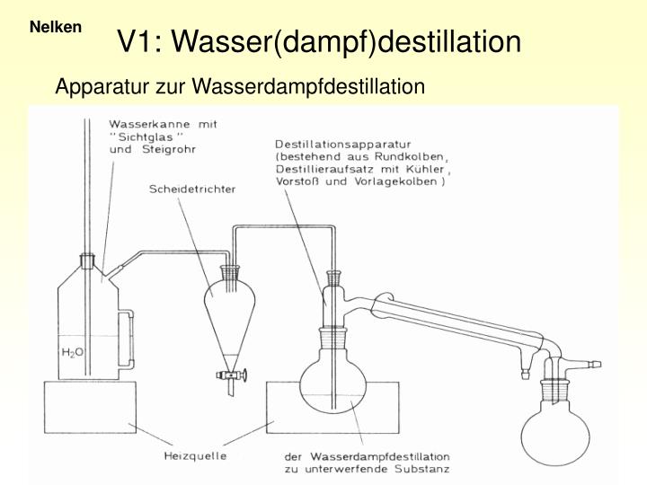 PPT - Gewürze Die Chemie des guten Geschmacks PowerPoint Presentation ...