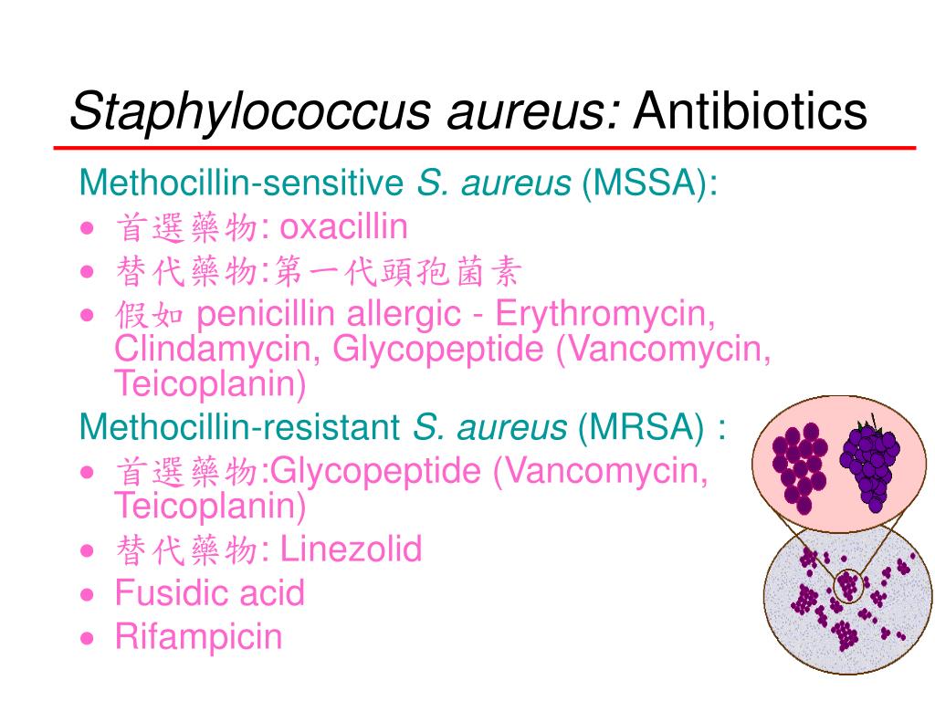 PPT - Pre-ICU training (Antibiotics) PowerPoint Presentation, free ...