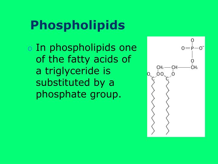 PPT - Lipids PowerPoint Presentation - ID:909659