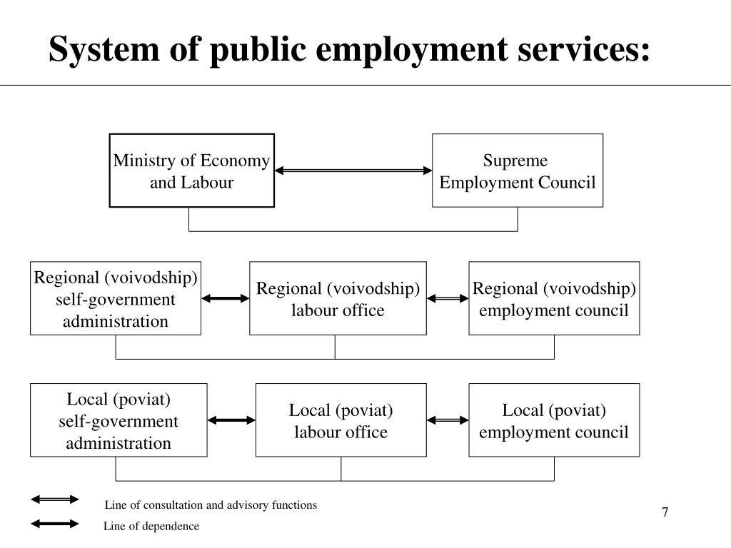 PPT - NATIONAL EMPLOYMENT SYSTEM IN POLAND Workshop on Supporting ...