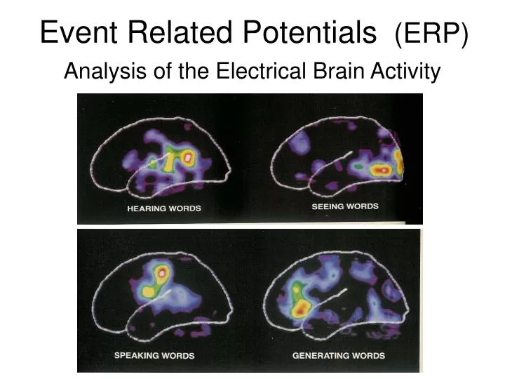 PPT - Event Related Potentials (ERP) PowerPoint Presentation, free ... PPT - Event Related Potentials (ERP) PowerPoint Presentation, free ...