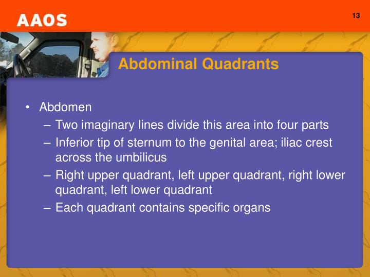 PPT - Chapter 5 The Human Body PowerPoint Presentation - ID:910940