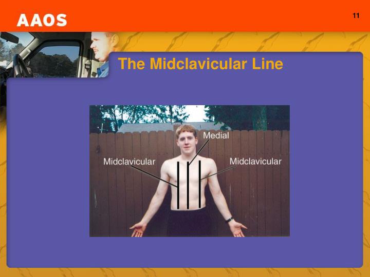 PPT - Chapter 5 The Human Body PowerPoint Presentation - ID:910940