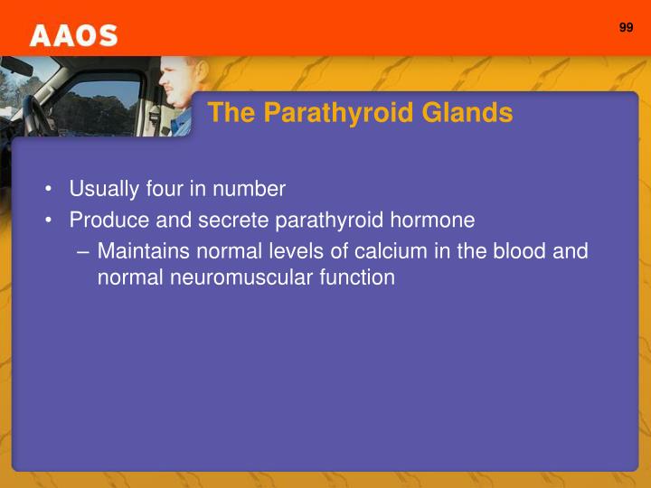 PPT - Chapter 5 The Human Body PowerPoint Presentation - ID:910940