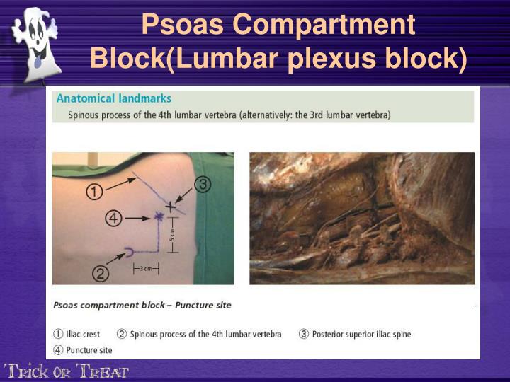 PPT - Lower Extremity Peripheral Nerve Block R4 장 지 혜 PowerPoint ...