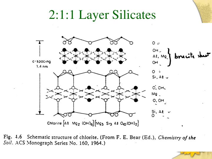 PPT - The Solid Phase PowerPoint Presentation - ID:911111