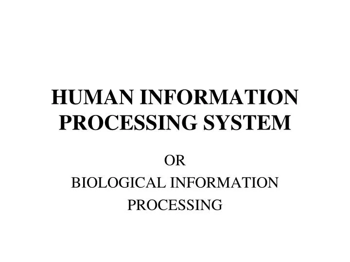 PPT - HUMAN INFORMATION PROCESSING SYSTEM PowerPoint Presentation, free ...