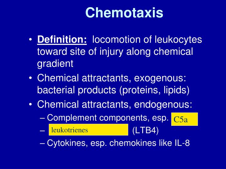 PPT - First Foundations in Pathology, Part 2: Acute and Chronic ...