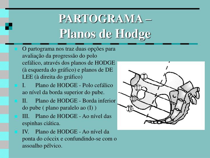 PPT - PARTOGRAMA PowerPoint Presentation - ID:912367