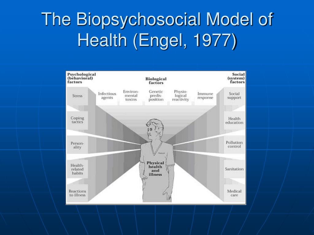 George L Engel Biopsychosocial Model | My XXX Hot Girl George L Engel Biopsychosocial Model | My XXX Hot Girl