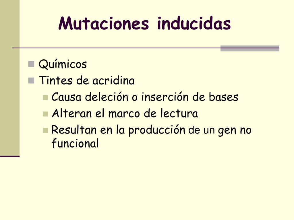 PPT - Cambios en la estructura genética y control genético PowerPoint ...