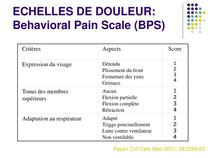 PPT - NARCO-ANALGÉSIE EN REANIMATION PowerPoint Presentation - ID:916057