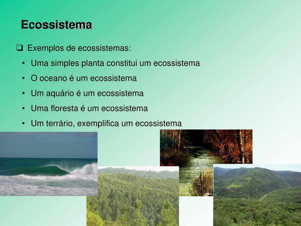 Ppt Ecossistemas Powerpoint Presentation Free Download Id 916878