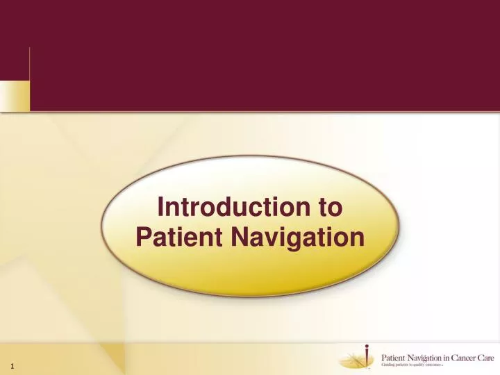 PPT - Introduction to Patient Navigation PowerPoint Presentation, free ...