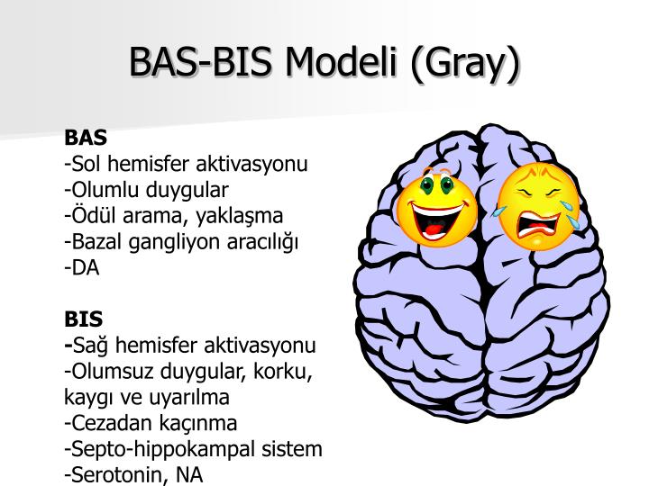 PPT - Otonom Sinir Sistemi PowerPoint Presentation - ID:917377