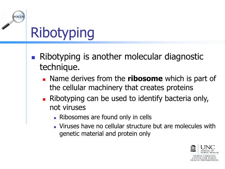 PPT - Laboratory Diagnosis: Molecular Techniques PowerPoint ...