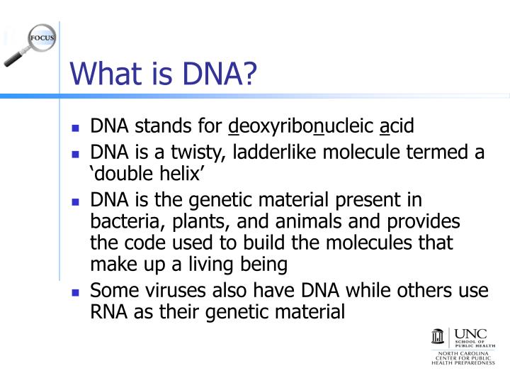 PPT - Laboratory Diagnosis: Molecular Techniques PowerPoint ...