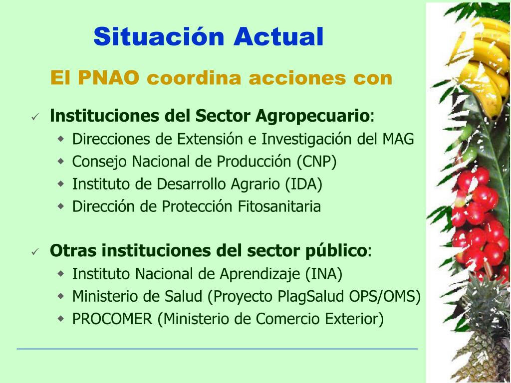 PPT - Programa Nacional de Agricultura Orgánica Costa Rica PowerPoint ...