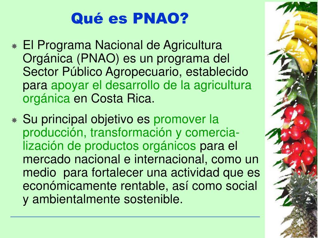 PPT - Programa Nacional de Agricultura Orgánica Costa Rica PowerPoint ...