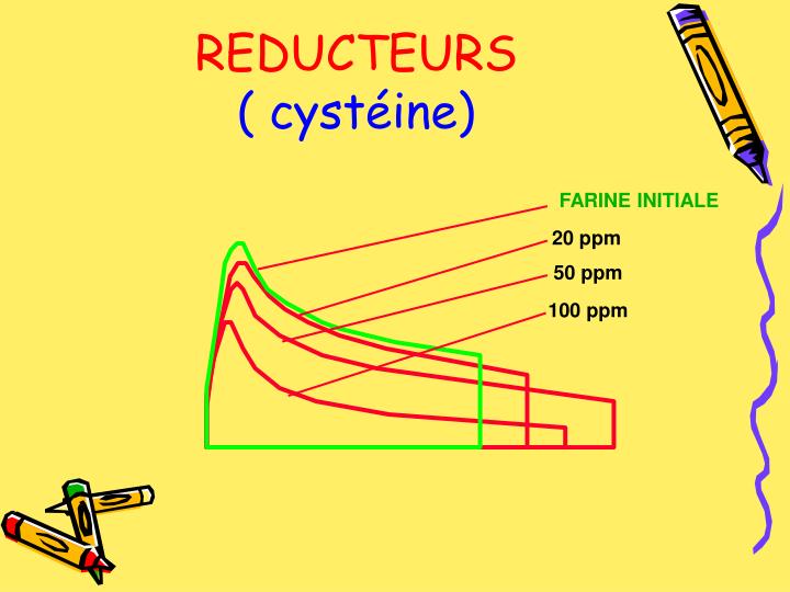 PPT - ALVEOGRAPHE CHOPIN PowerPoint Presentation - ID:917861