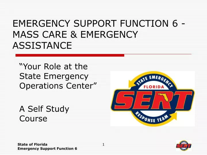 PPT - EMERGENCY SUPPORT FUNCTION 6 - MASS CARE & EMERGENCY ASSISTANCE ...