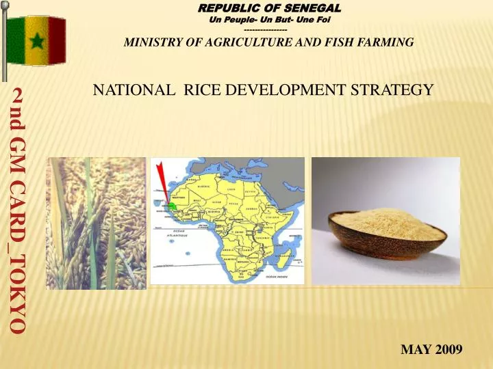 PPT - NATIONAL RICE DEVELOPMENT STRATEGY PowerPoint Presentation, free ...
