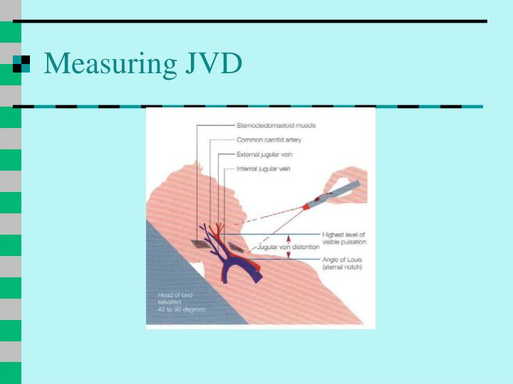PPT - Health Assessment PowerPoint Presentation - ID:919423