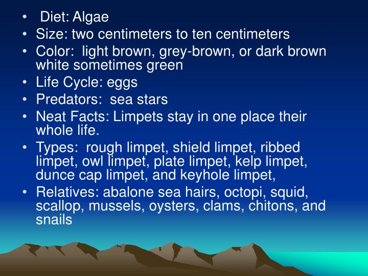 PPT - Limpets PowerPoint Presentation - ID:919673