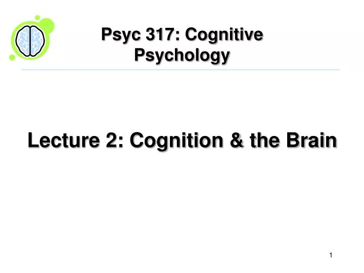 PPT - Lecture 2: Cognition & the Brain PowerPoint Presentation, free download - ID:92020