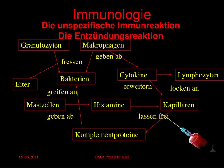 PPT - Immunologie PowerPoint Presentation - ID:921568