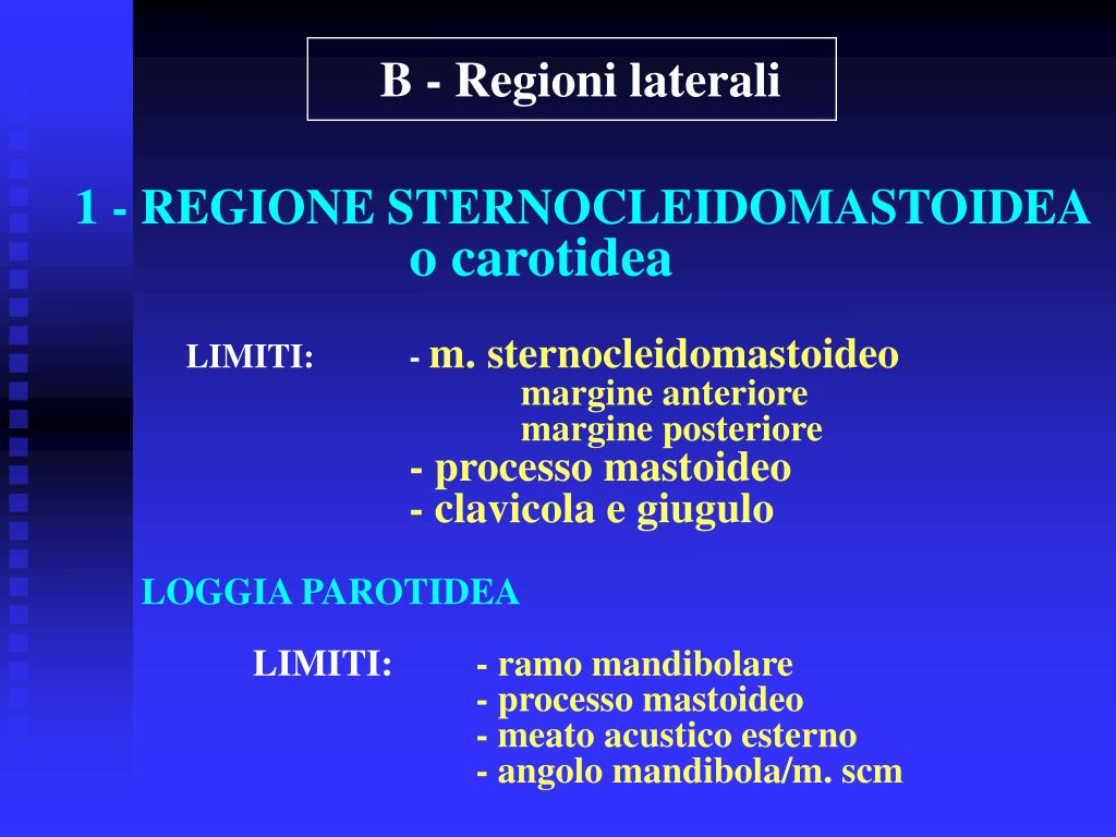 PPT - LIMITE SUPERIORE profilo mandibolare articolazioni temporo ...