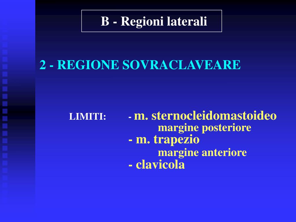 PPT - LIMITE SUPERIORE profilo mandibolare articolazioni temporo ...