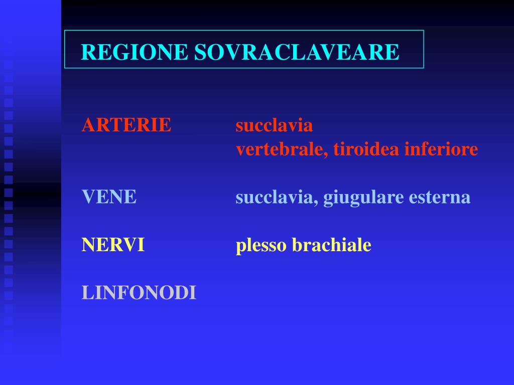 PPT - LIMITE SUPERIORE profilo mandibolare articolazioni temporo ...