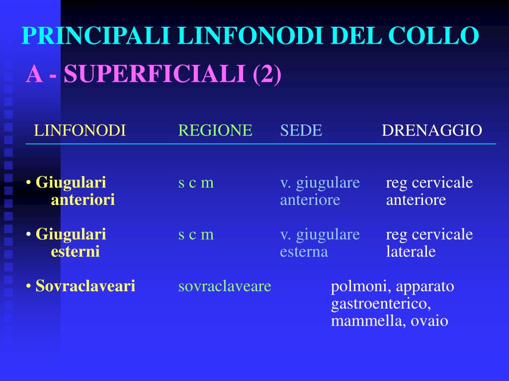 PPT - LIMITE SUPERIORE profilo mandibolare articolazioni temporo ...
