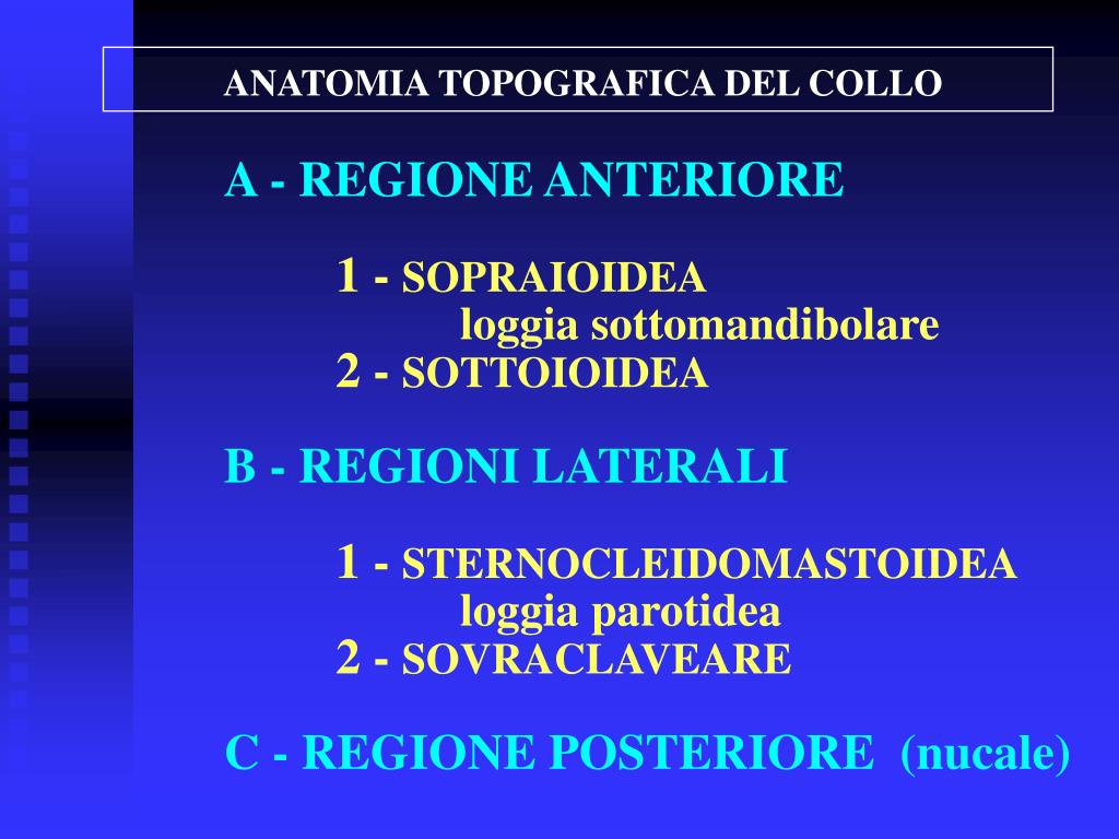 PPT - LIMITE SUPERIORE profilo mandibolare articolazioni temporo ...