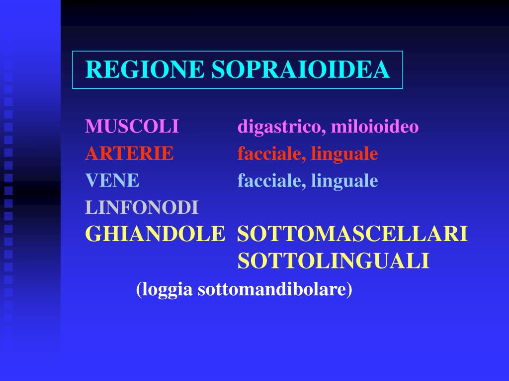 PPT - LIMITE SUPERIORE profilo mandibolare articolazioni temporo ...