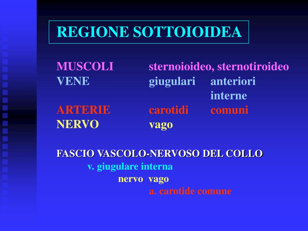 PPT - LIMITE SUPERIORE profilo mandibolare articolazioni temporo ...
