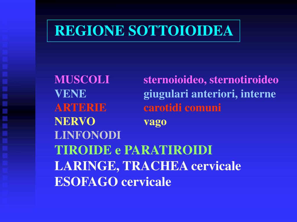 PPT - LIMITE SUPERIORE profilo mandibolare articolazioni temporo ...