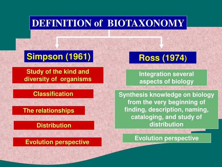 PPT - PRINCIPLES OF TAXONOMY PowerPoint Presentation - ID:923166
