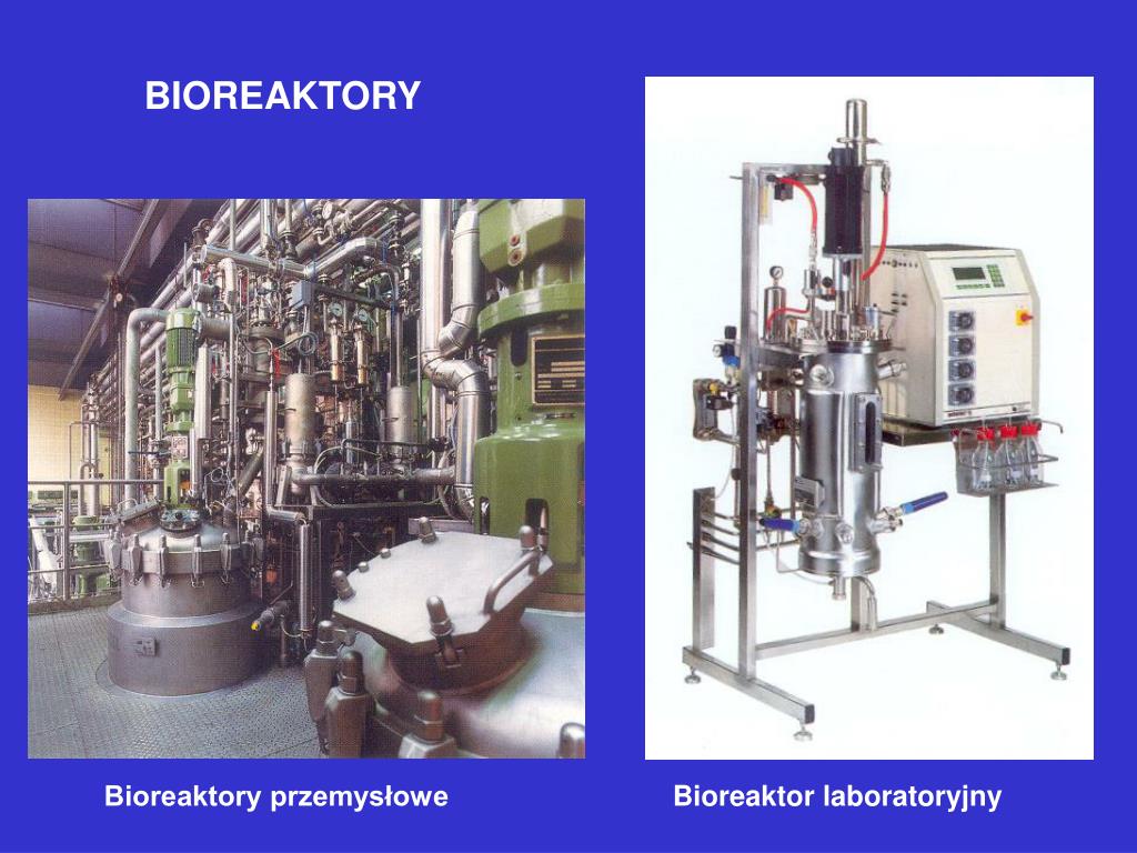 PPT - Przemysłowe procesy fermentacyjne PowerPoint Presentation, free ...