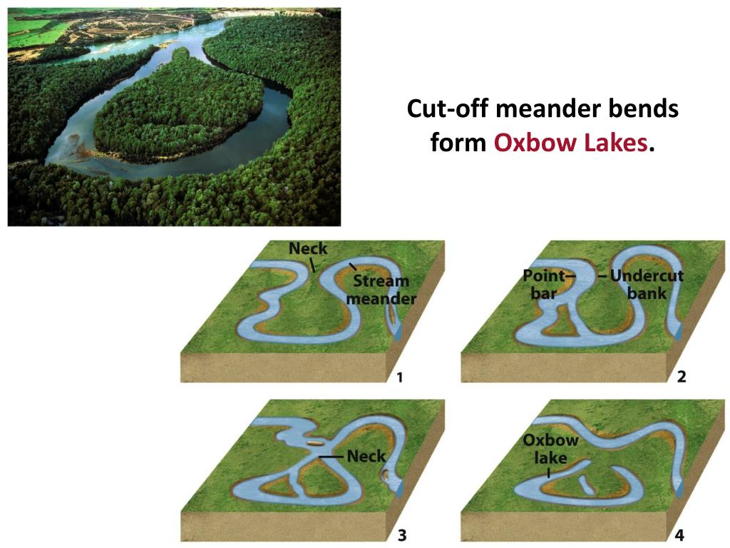 PPT - Water covers 71% of Earth’s surface and is the dominant agent ...