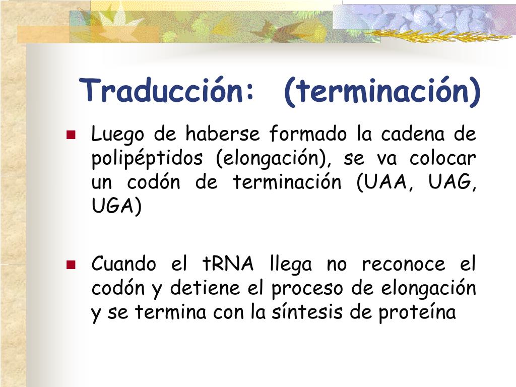 PPT - Código genético y el mecanismo de expresión PowerPoint ...